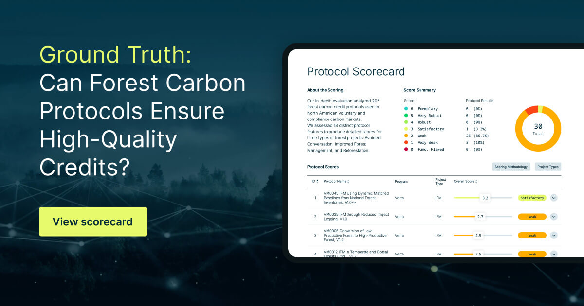 Forest Carbon Protocols – An evaluation of 20 forest carbon credit protocols